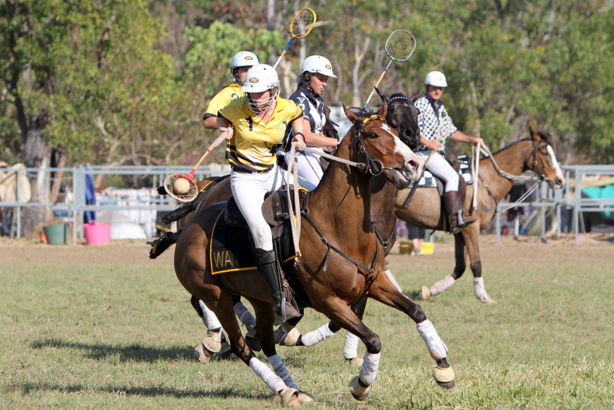 Polocrosse: A Perfect Combination of Polo and Lacrosse – Maclano